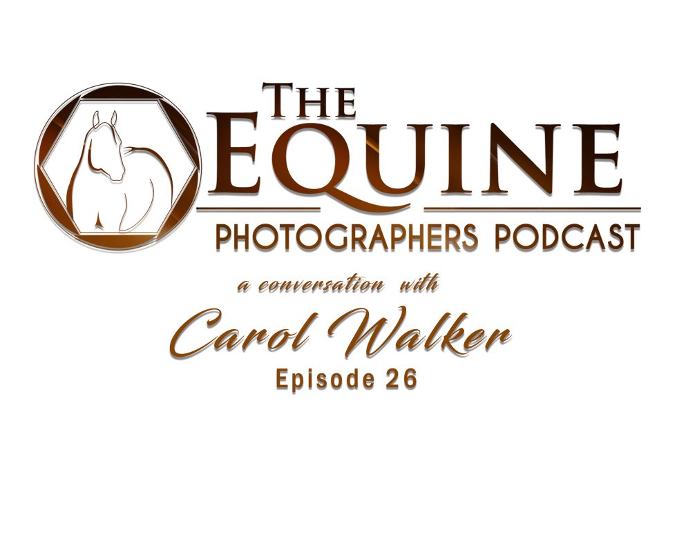 26: Fine Art Equine Photography & Wild Horse Conservation With Carol ...